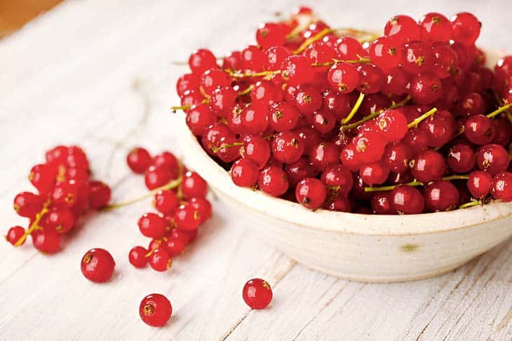 Fruit en G : liste de tous les fruits commençant par G