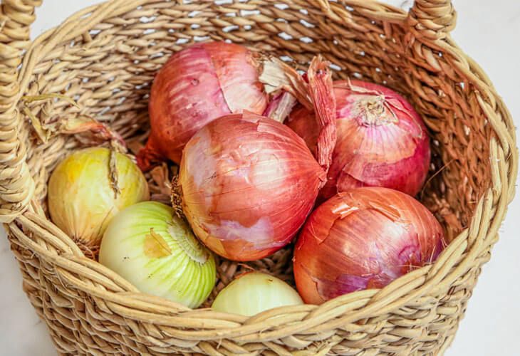 Comment conserver les oignons secs et frais