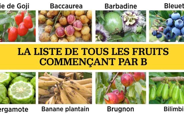Liste de tous les fruits de A à Z - Recette Facile