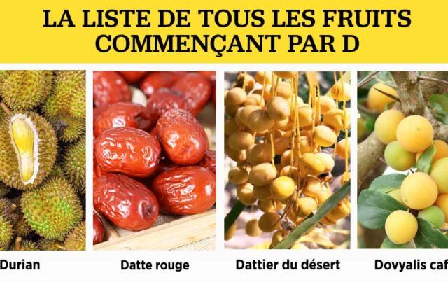 Liste de tous les fruits de A à Z - Recette Facile