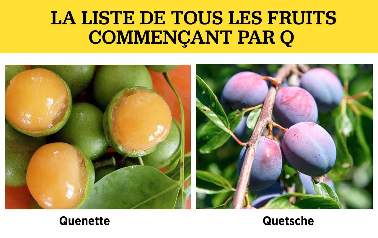 Fruits - Recette Facile