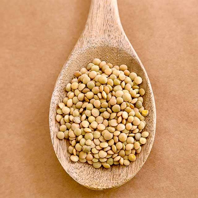 Quel est le temps de cuisson des lentilles