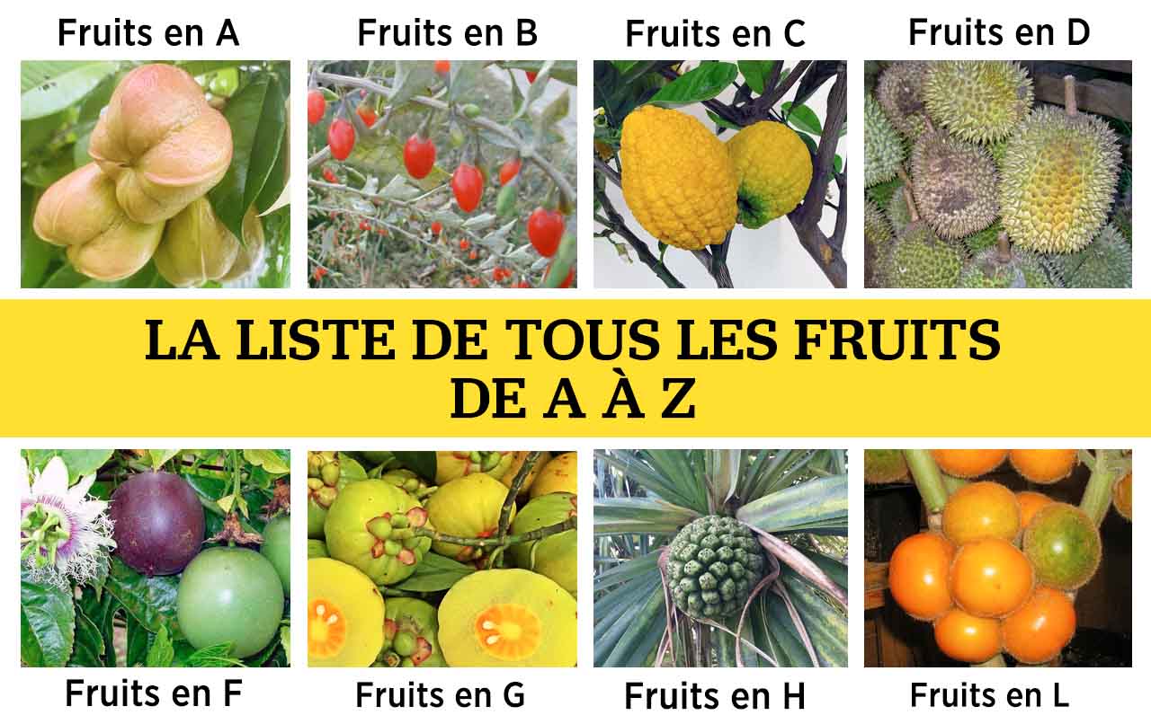 Liste de tous les fruits de A à Z - Recette Facile