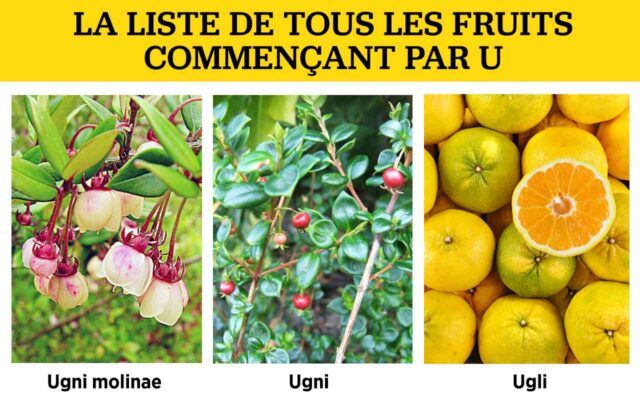 Liste de tous les fruits de A à Z - Recette Facile