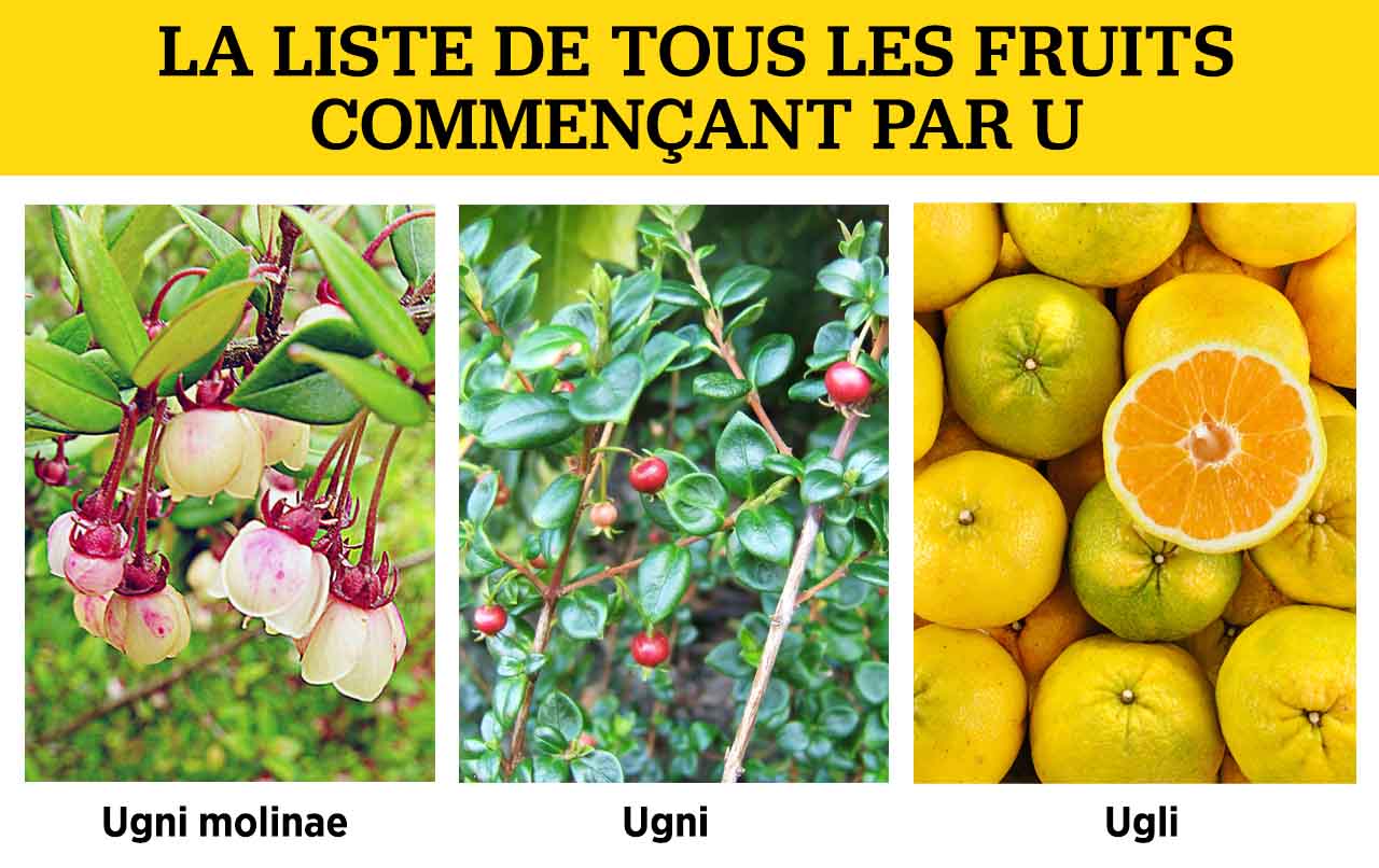 Liste de tous les fruits de A à Z - Recette Facile