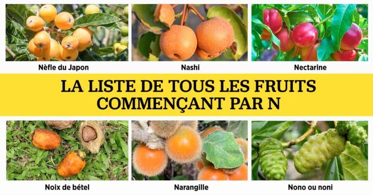 Liste de tous les fruits de A à Z