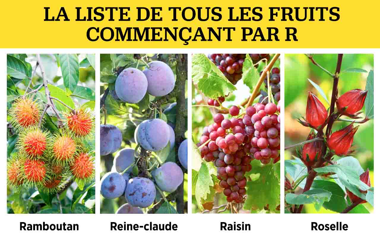 Liste de tous les fruits de A à Z - Recette Facile