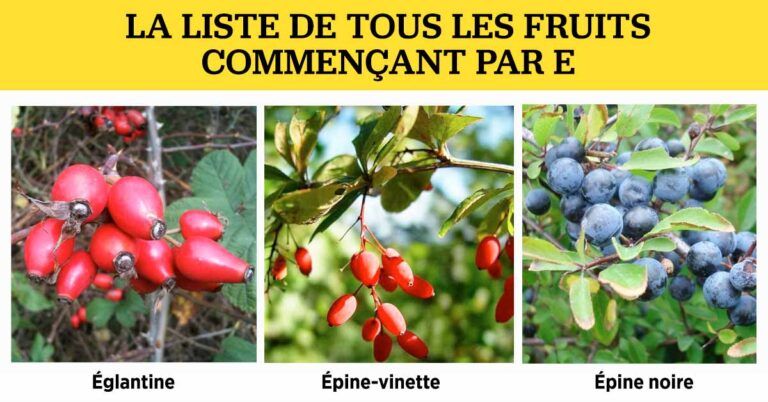 Fruit en U : liste de tous les fruits commençant par U