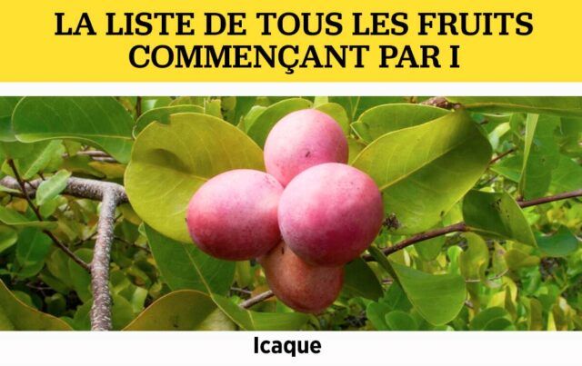 Fruit en I : liste de tous les fruits commençant par I - Recette Facile