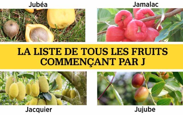 Fruit en J : la liste de tous les fruits commençant par J - Recette Facile