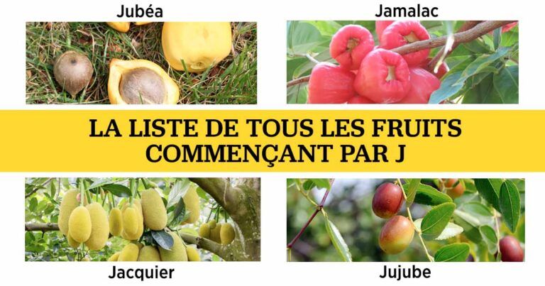 Fruit en P : liste de tous les fruits commençant par P