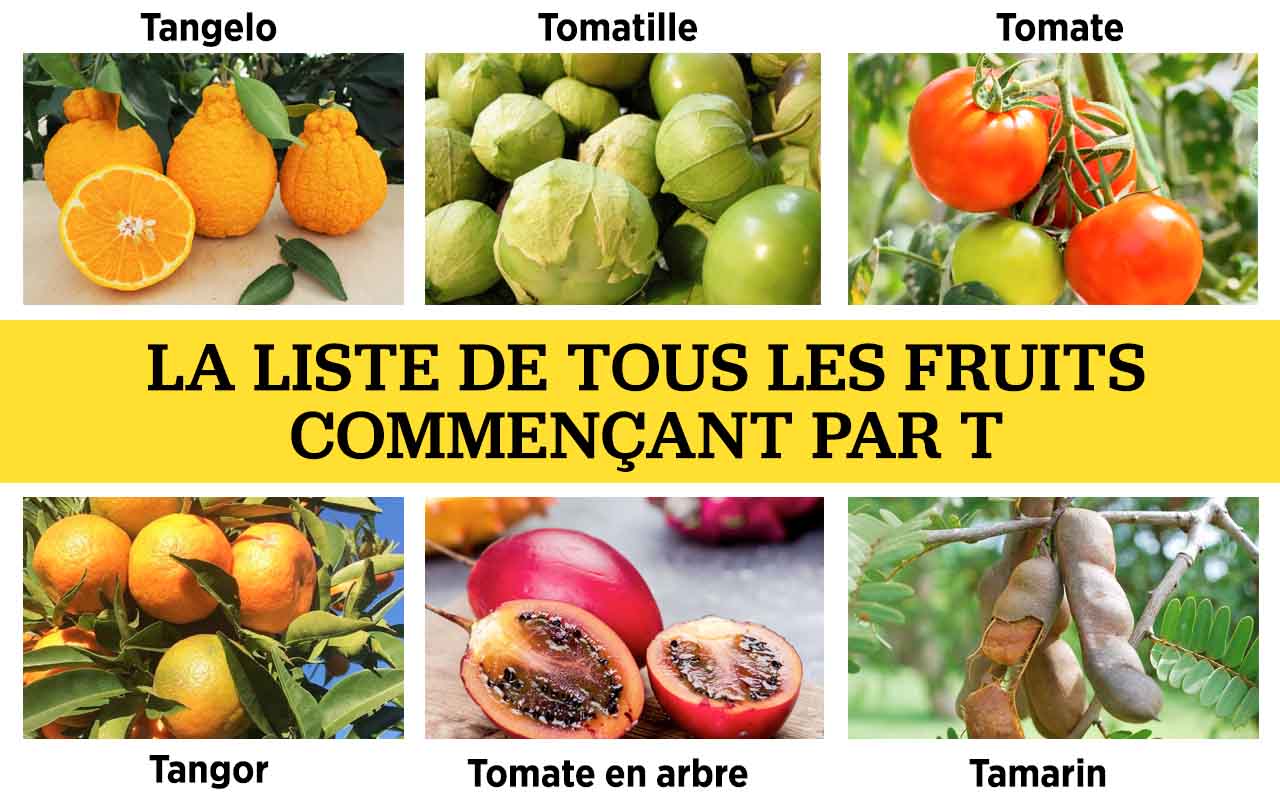 Fruits - Recette Facile