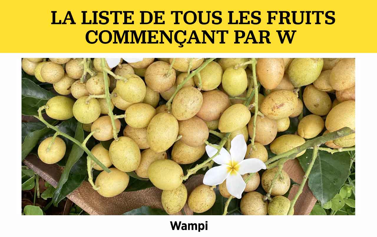 Fruits - Recette Facile