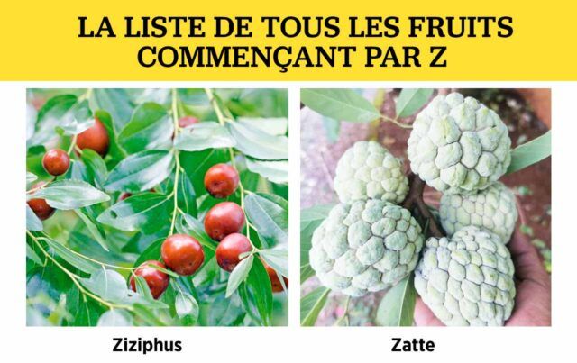 Fruits - Recette Facile